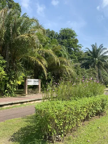 Best Hikes and Trails in Clementi Forest | AllTrails