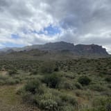 Hackberry Springs Loop, Arizona - 1,742 Reviews, Map | AllTrails