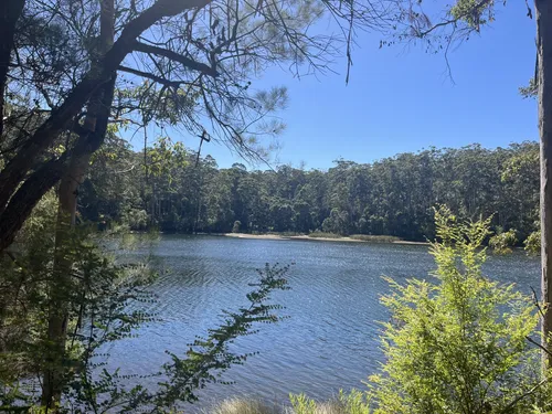 Best Hikes and Trails in Big Brook State Forest | AllTrails