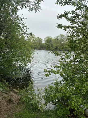 Best Hikes and Trails in Priory Country Park | AllTrails