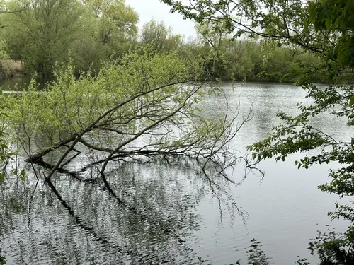 Best Hikes and Trails in Priory Country Park | AllTrails