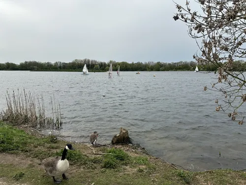 Best Hikes and Trails in Priory Country Park | AllTrails