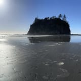 Ruby Beach, Washington - 1,445 Reviews, Map | AllTrails