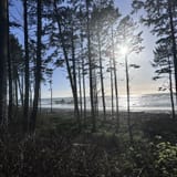 Ruby Beach, Washington - 1,445 Reviews, Map | AllTrails