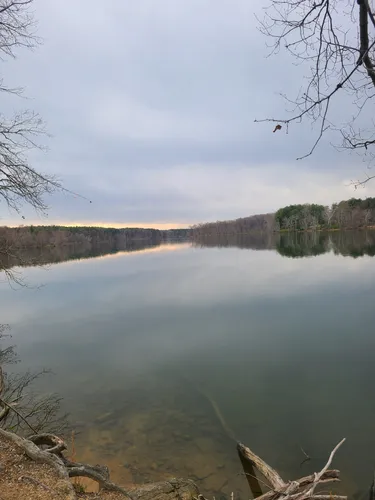 Best Moderate Trails in Loch Raven Reservoir | AllTrails