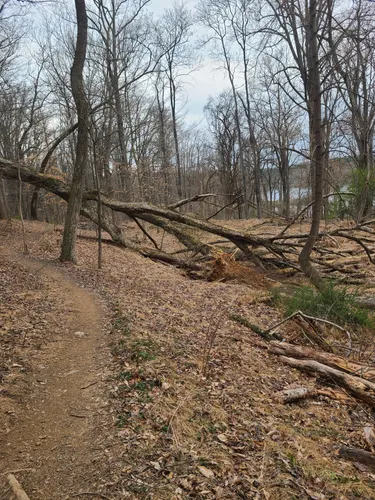 Best Moderate Trails in Loch Raven Reservoir | AllTrails