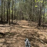 Settles Bridge Park Extended Loop Trail, Georgia - 1,683 Reviews, Map ...