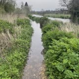 Itchen River Walk: Southampton to Winchester, Hampshire, England - 205 ...