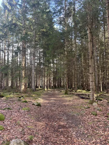 Best Hikes and Trails in Fulltofta naturreservat | AllTrails