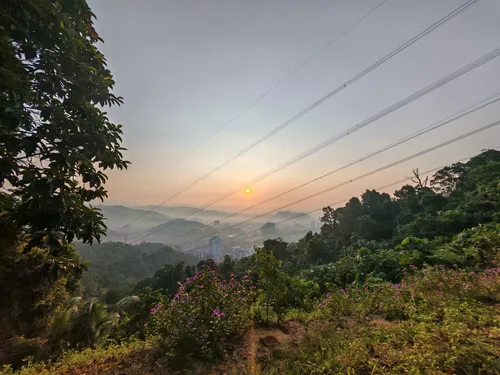 Best Hard Trails in Bukit Lagong Forest Reserve | AllTrails