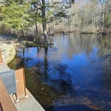 Mount Misery Trail, Connecticut - 899 Reviews, Map | AllTrails