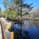 Mount Misery Trail, Connecticut - 899 Reviews, Map | AllTrails