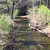 Tanyard Perimeter Loop, Arkansas - 2,633 Reviews, Map | AllTrails