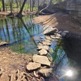 Tanyard Perimeter Loop, Arkansas - 2,620 Reviews, Map | AllTrails