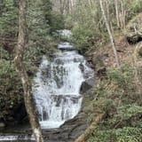 Wildcat Creek Loop Trail, Georgia - 322 Reviews, Map | AllTrails