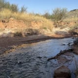 The Paseo del Rio Trail, Texas - 345 Reviews, Map | AllTrails