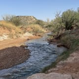 The Paseo del Rio Trail, Texas - 345 Reviews, Map | AllTrails