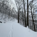 Prospect Rock Trail, Vermont - 892 Reviews, Map | AllTrails