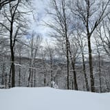 Prospect Rock Trail, Vermont - 892 Reviews, Map | AllTrails