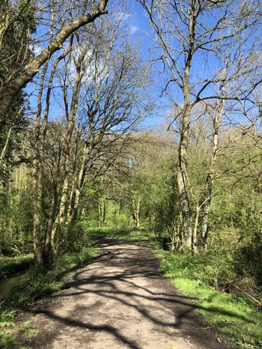 Best Hikes and Trails in Worsbrough Mill Park | AllTrails