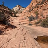 Many Pools Trail, Utah - 1,389 Reviews, Map | AllTrails