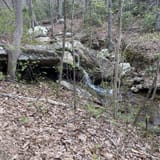 Edward's Point Trail, Tennessee - 2,469 Reviews, Map | AllTrails