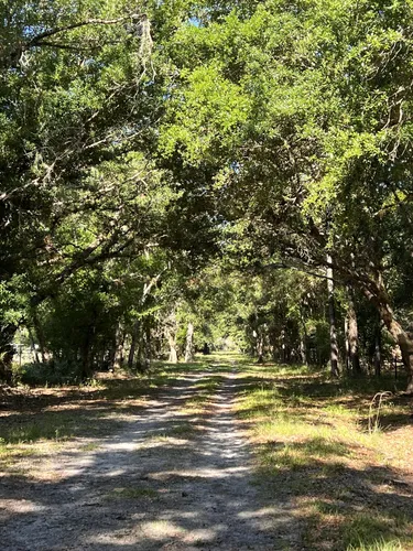 Best Hikes and Trails in Walton Ranch | AllTrails