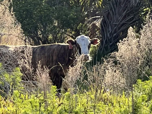 Best Hikes and Trails in Walton Ranch | AllTrails