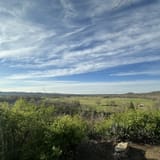 Bluff View Trail, Missouri - 1,507 Reviews, Map | AllTrails