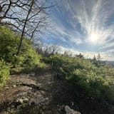 Bluff View Trail, Missouri - 1,507 Reviews, Map | AllTrails