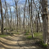 Bluff View Trail, Missouri - 1,507 Reviews, Map | AllTrails