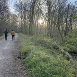 Bluff View Trail, Missouri - 1,507 Reviews, Map | AllTrails