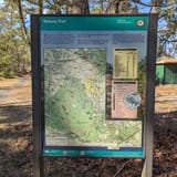 Batona Trail, New Jersey - 322 Reviews, Map | AllTrails