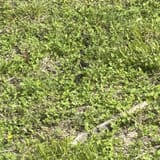 George Bush Hike and Bike Trail, Texas - 1,203 Reviews, Map | AllTrails