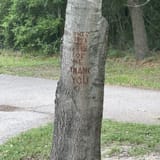 George Bush Hike and Bike Trail, Texas - 1,203 Reviews, Map | AllTrails