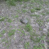 George Bush Hike and Bike Trail, Texas - 1,203 Reviews, Map | AllTrails