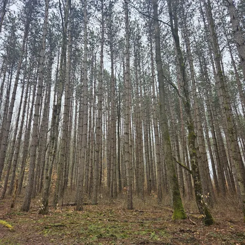 Best Hikes and Trails in Varden Conservation Area | AllTrails