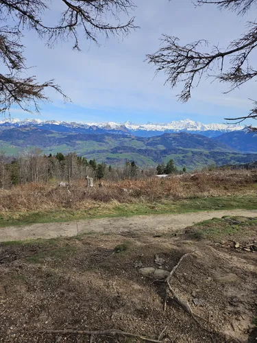 Fillinges : les meilleures randonnées et itinéraires | AllTrails