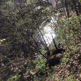 Blowing Springs Park Extended Loop, Arkansas - 1,672 Reviews, Map ...