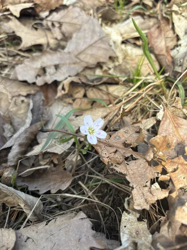 Best Hikes and Trails in Blauvelt State Park | AllTrails