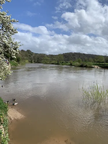 Best Hikes and Trails in Severn Valley Country Park | AllTrails