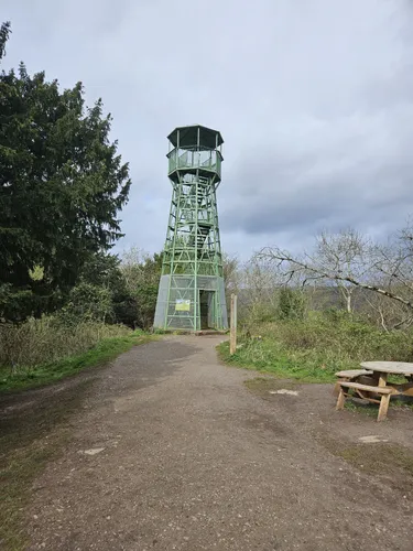 Best Hikes and Trails in Rowberrow Warren Wood | AllTrails