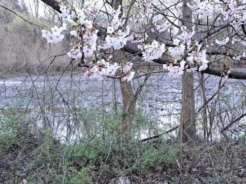 Best Hikes and Trails in Van Saun County Park | AllTrails