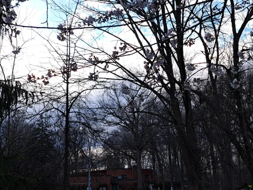 Best Hikes and Trails in Van Saun County Park | AllTrails