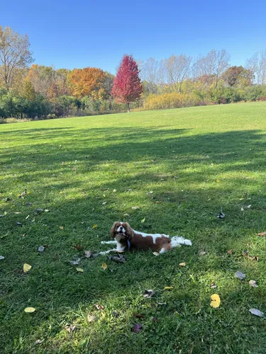 Best Bird Watching Trails in Prairie Wolf Slough County Forest Preserve ...