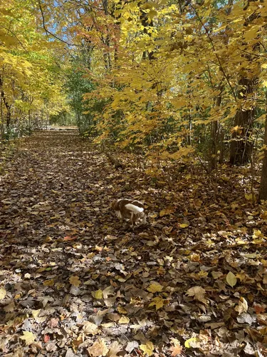 Best Bird Watching Trails in Prairie Wolf Slough County Forest Preserve ...