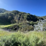 Harding Truck Trail, California - 210 Reviews, Map | AllTrails