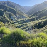Harding Truck Trail, California - 210 Reviews, Map | AllTrails