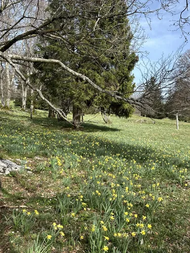 Les Prés-d'Orvin: Die schönsten Routen zum Wandern | AllTrails