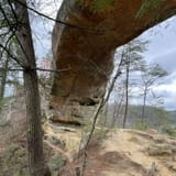 Sky Bridge Trail, Kentucky - 2,439 Reviews, Map | AllTrails